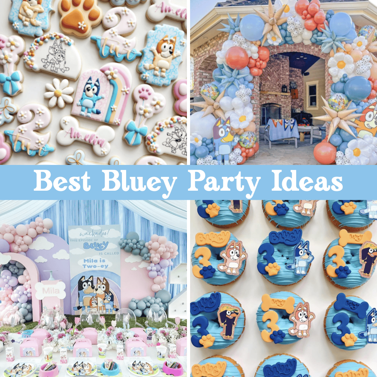 31+ Best Bluey Birthday Party Ideas for Boys and Girls! - Party on Three