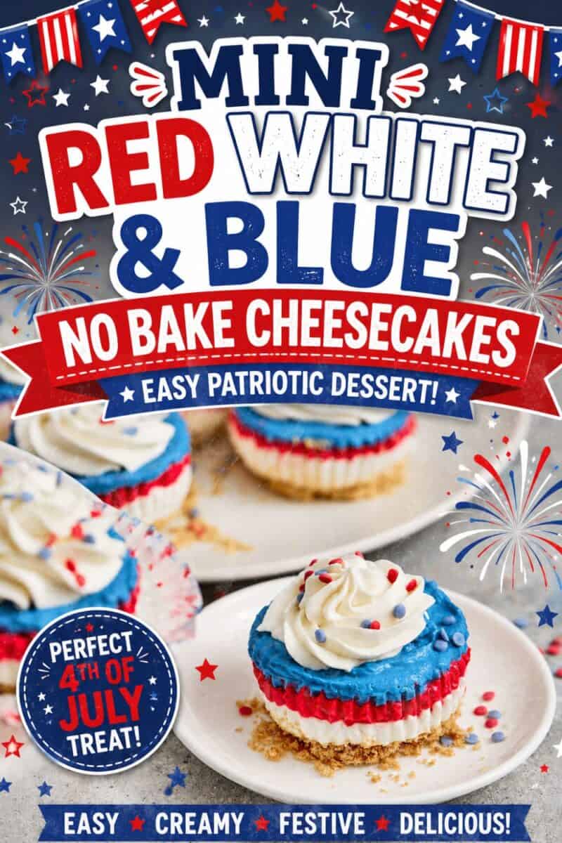 No Bake Red, White, and Blue Mini Cheesecakes - Party on Three
